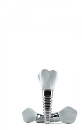 Total Core - Dental Products Trading in UAE | Bovine Xenograft